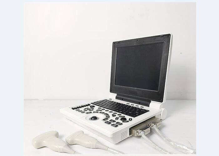 Portable Handheld Ultrasound Scanner Handheld Bladder Scanner 5 Kinds of Probes Available