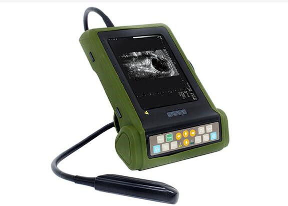 Mini Ultrasound Machine Veterinary Ultrasound Scanner With 6.5MHz ...