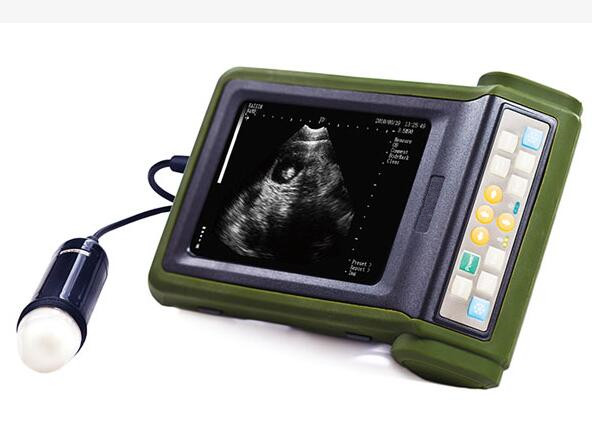 Hand Held Animal Full Digital Ultrasound Scanner Small Ultrasound ...